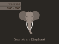 Endangered GIFs - Get the best gif on GIFER
