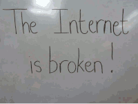 Pann GIFs - Get the best gif on GIFER