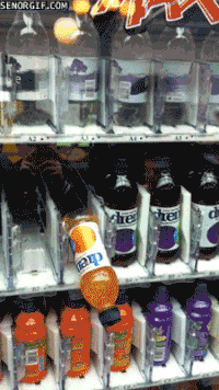 Lotto GIFs - Get the best gif on GIFER