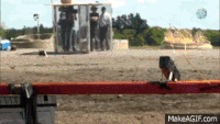 Mythbusters GIFs - Get the best gif on GIFER