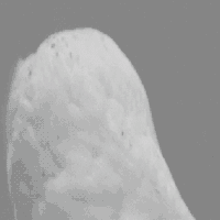 Shocked GIFs - Get the best gif on GIFER