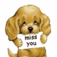 Feelings GIFs - Get the best gif on GIFER