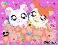 Hamtaro GIFs - Get the best gif on GIFER