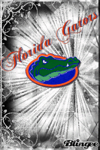 Gators GIFs - Get the best gif on GIFER