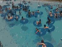 Lifeguard GIFs - Get the best gif on GIFER
