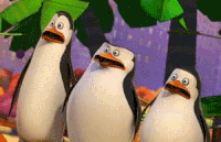 Madagascar GIFs - Get the best gif on GIFER