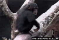 Smell GIFs - Get the best gif on GIFER