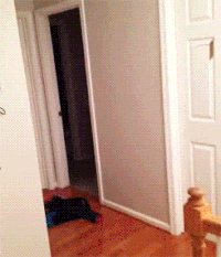 Doors GIFs - Get the best gif on GIFER