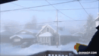 Frieren GIFs - Get the best gif on GIFER