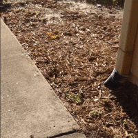 Porche GIFs - Get the best gif on GIFER