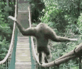 Rope bridge GIF - Conseguir o melhor gif em GIFER