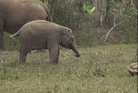 Padawan GIFs - Get the best gif on GIFER