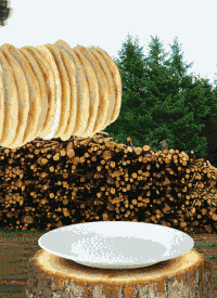 Chainsaw GIFs - Get the best gif on GIFER