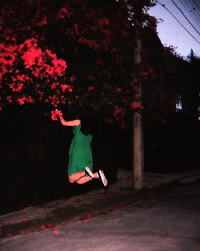 Blurred GIFs - Get the best gif on GIFER