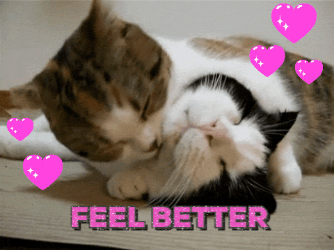 Better GIFs - Get the best gif on GIFER