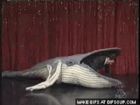 Geburt GIFs - Get the best gif on GIFER