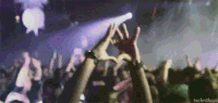 Concerts GIFs - Get the best gif on GIFER