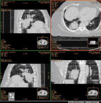 Ct GIFs - Get the best gif on GIFER