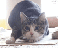Key GIFs - Get the best gif on GIFER