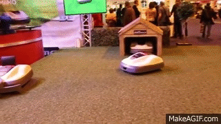 Immobile GIFs - Get the best gif on GIFER