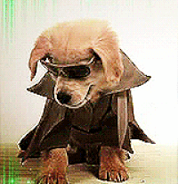 Coats GIFs - Get the best gif on GIFER