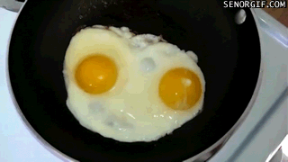 Areeggs GIFs - Get the best gif on GIFER