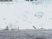 Collapse GIFs - Get the best gif on GIFER