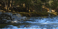 River GIFs - Get the best gif on GIFER
