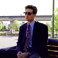 David GIFs - Get the best gif on GIFER