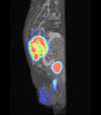 Resonance GIFs - Get the best gif on GIFER