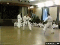 Karate GIFs - Get the best gif on GIFER