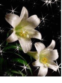 Lily GIFs - Get the best gif on GIFER