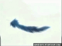 Feather GIFs - Get the best gif on GIFER