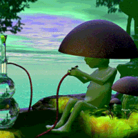 Shroom GIFs - Get the best gif on GIFER