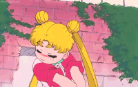 Usagi GIFs - Get the best gif on GIFER