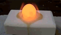 Nickel GIFs - Get the best gif on GIFER