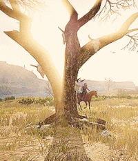 Red dead redemption GIF - Conseguir o melhor gif em GIFER