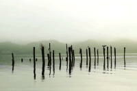 Scenic GIFs - Get the best gif on GIFER