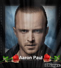 Aaron GIFs - Get the best gif on GIFER