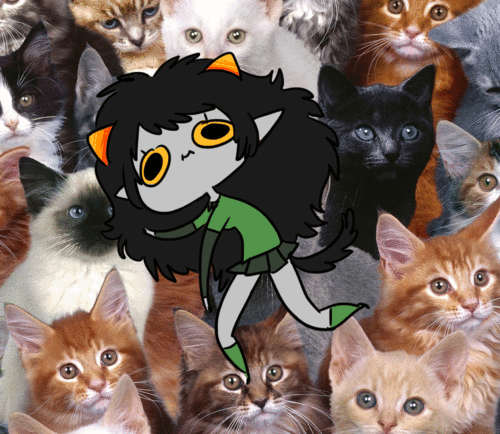 Meulin GIFs - Get the best gif on GIFER