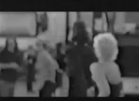 Surrender GIFs - Get the best gif on GIFER