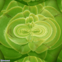 Radial GIFs - Get the best gif on GIFER