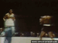 Ali GIFs - Get the best gif on GIFER