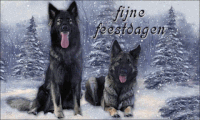 Dutch GIFs - Get the best gif on GIFER
