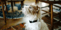 Beginners GIFs - Get the best gif on GIFER