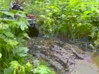 Steady GIFs - Get the best gif on GIFER