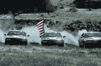 Freedom GIFs - Get the best gif on GIFER