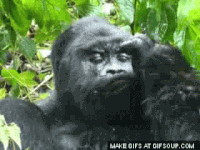 Pulling GIFs - Get the best gif on GIFER