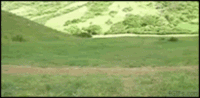 Jousting GIFs - Get the best gif on GIFER