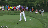 Golfers GIFs - Get the best gif on GIFER